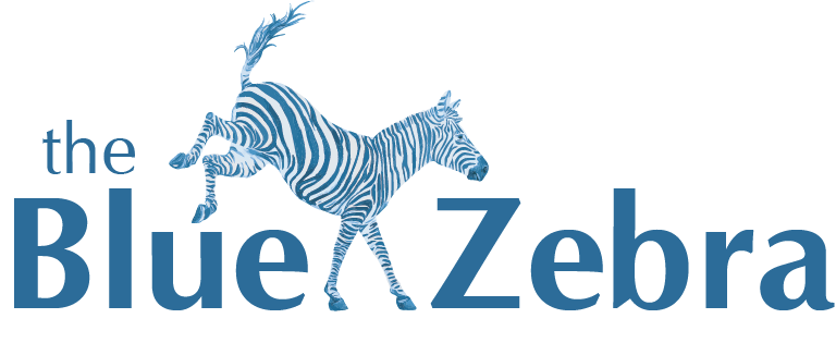 New! Shopify performance sharing is now turned on – The Blue Zebra